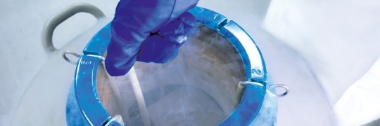 Cell Culture FAQ: How does DMSO affect your cells? - Eppendorf US