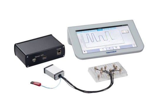 The Heat Is On! Temperature Verification for Your PCR Cycler ...