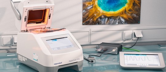 The Heat Is On! Temperature Verification for Your PCR Cycler ...