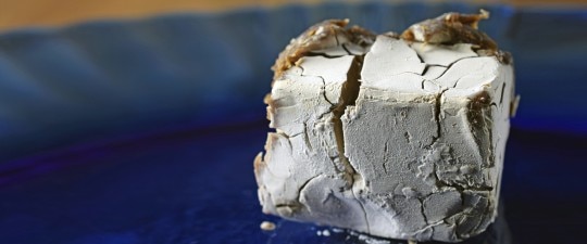 How to detect a yeast contamination in your cell culture - Eppendorf Sweden