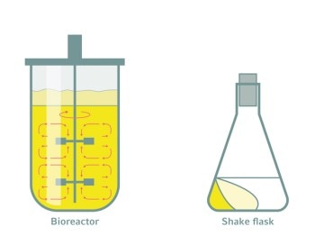 It’s Not Just About Size: Talking about Shake Flasks and Bioreactors - Eppendorf Belgium