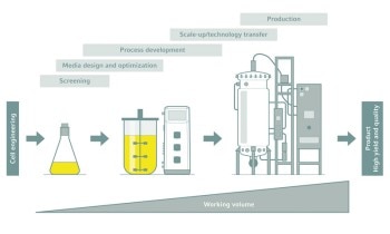 It’s Not Just About Size: Talking about Shake Flasks and Bioreactors ...