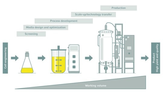 It’s Not Just About Size: Talking about Shake Flasks and Bioreactors ...