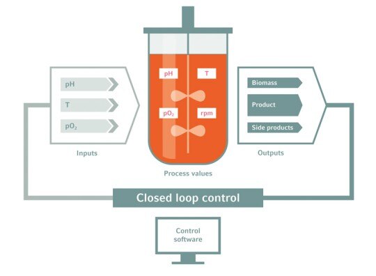 It’s Not Just About Size: Talking about Shake Flasks and Bioreactors ...