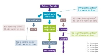 NGS library preparation: How protocols using magnetic beads profit ...