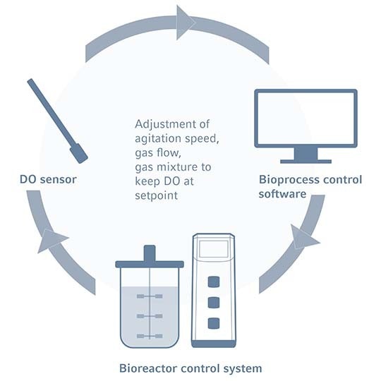 Dissolved Oxygen Control in Bioreactors - Eppendorf US
