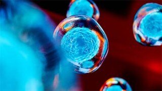 Bioprocessing - Eppendorf US