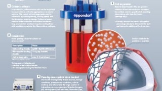 Stem Cell Bioprocessing - Eppendorf Italy