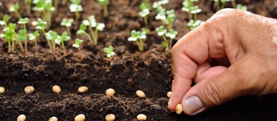 Cell seeding protocol - Eppendorf US