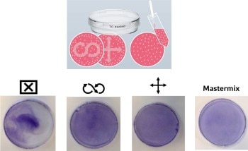 Cell seeding protocol – Guide on how to seed cells correctly ...