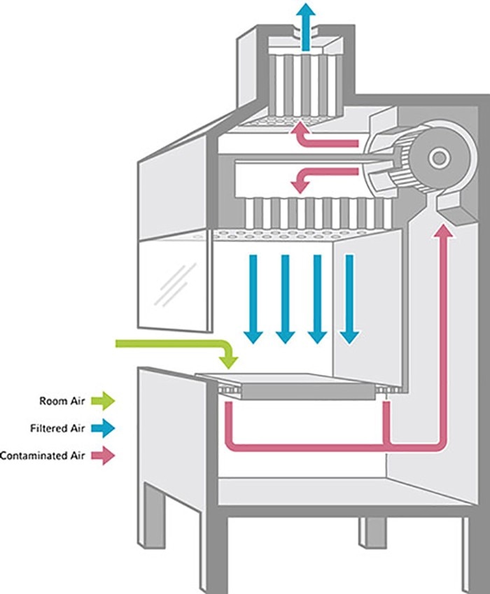 Cell Culture FAQ: How to work at the BSC? - Eppendorf 대한민국