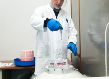 How to Thaw Cells - Guide for More Reproducible Cryopreservation ...