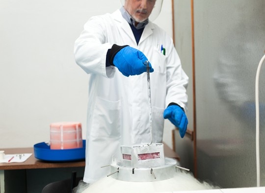 How to Thaw Cells - Guide for More Reproducible Cryopreservation ...