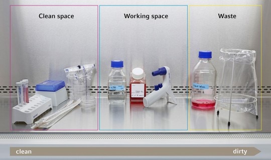 Cell Culture FAQ: How to work at the BSC? - Eppendorf Korea