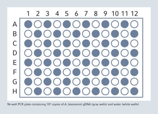 Efficient & Automated qPCR Setup Without Cross Contamination - Eppendorf US
