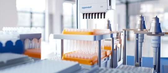Normalizing DNA and RNA – Throw in Automation for Equal Measure - Eppendorf Spain