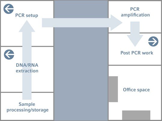 Finalizing the Run with Amplicons in Your Negative Control? - Eag ZA ...