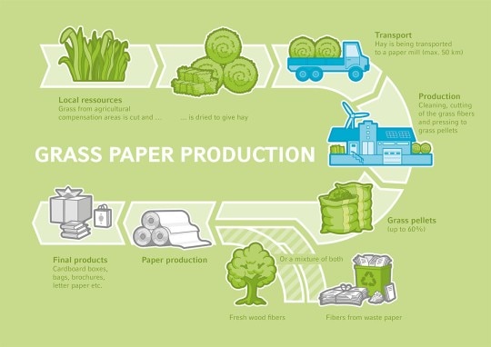 Grass Paper: The Green Way to Produce Paper and Cardboards - Eppendorf US