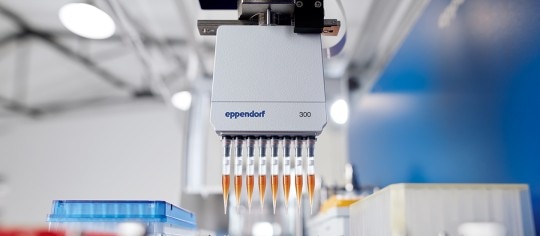 Nucleic Acid Purification - Understand the details, tackle the routines ...