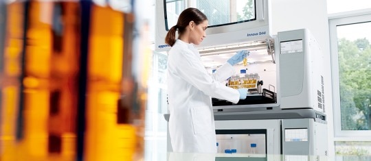 Optimize your Bioprocess – From Shaker to Bioreactor - Eppendorf Spain