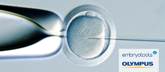 ICSI - How to improve your technique - Eppendorf China