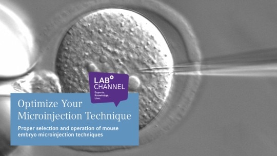 Optimize Your Microinjection Technique - Proper Selection and Operation ...