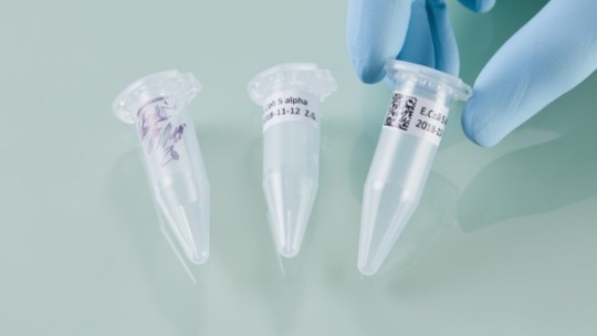 Sample Analysis. Time for Your Evaluation and Documentation ...