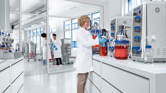 Cell Culture Scale-Up Using Stirred-Tank Single-Use Bioreactors ...