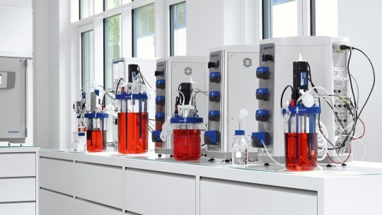 Cell Culture Scale-Up Using Stirred-Tank Single-Use Bioreactors ...