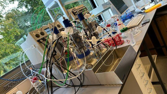 Precision fermentation: Making meat molecules in bioreactors ...