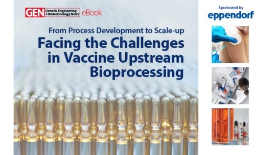 eBook: Facing the Challenges in Vaccine Upstream Bioprocessing - Eppendorf US