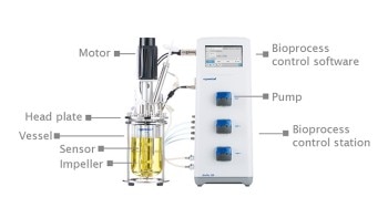 What is a Bioreactor? - Eppendorf 艾本德