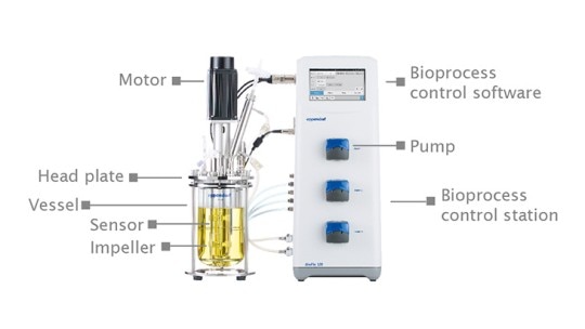 What is a Bioreactor? - Eppendorf US