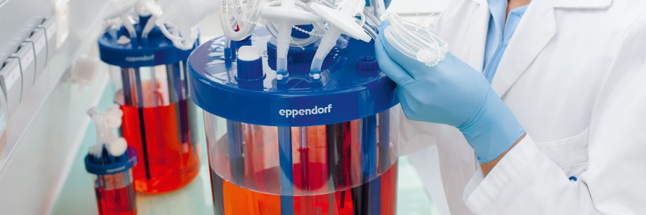 Cell Culture in Bioreactors - Eppendorf Canada