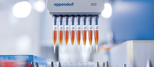 Ergonomics: Why Pipetting Ergonomics is a Key Issue - Eppendorf Korea