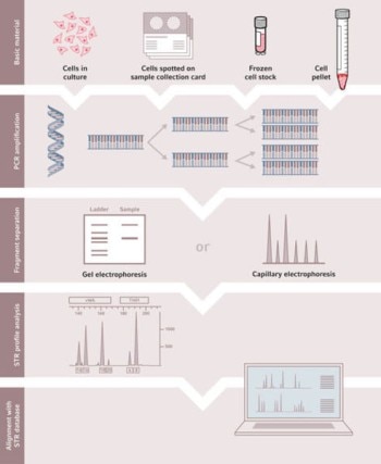 STR Profiling - Eppendorf US