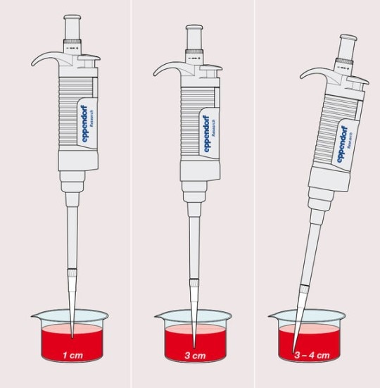 Impact of Pipetting Techniques on Precision and Accuracy - Eppendorf US