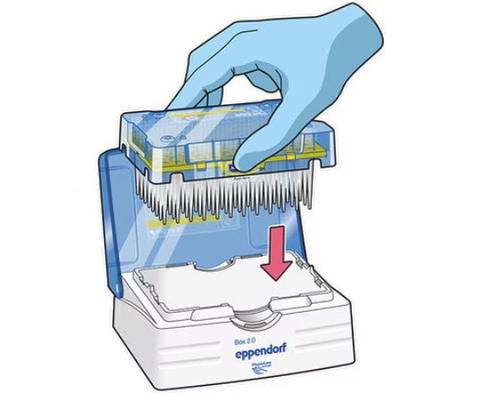 The Experienced epT.I.P.S.® Reloads - Eppendorf US