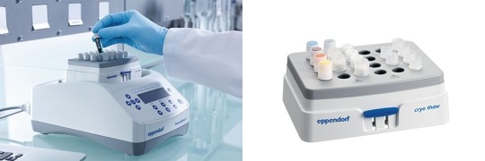Cell thawing device – Advantages & Disadvantages - Eppendorf Latin America