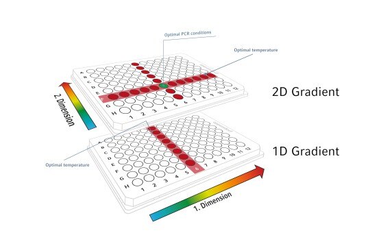 Improve Yield and Specificity of Your PCR Using the 2D-Gradient ...