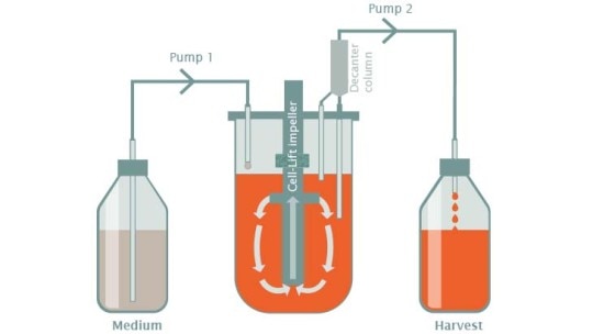 Bioprocess Operation Modes: Batch, Fed-batch, and Continuous Culture ... Bioprocess Operation Modes: Batch, Fed-batch, and Continuous Culture ...