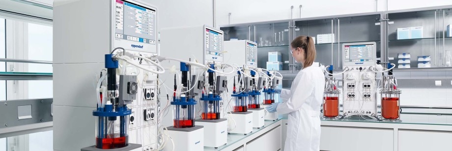 Bioprocess Operation Modes Batch Fed Batch And Continuous Culture Eppendorf Us