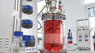 Bioprocess Operation Modes: Batch, Fed-batch, and Continuous Culture ...