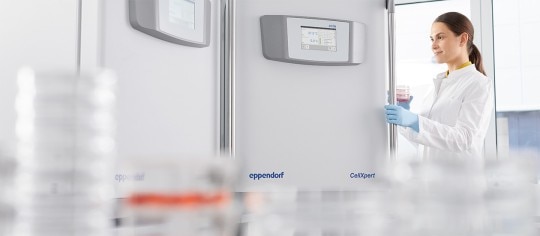 Stem cell culture - Biological vs. Synthetic Coating - Eppendorf South Asia Pacific