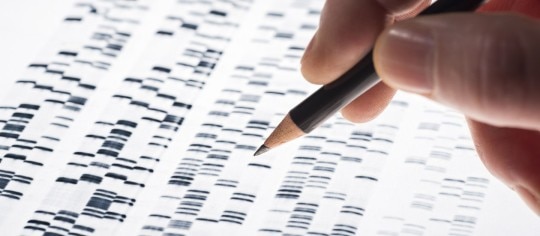Behind the Crime Scene: How Biological Traces Can Help to Convict ...