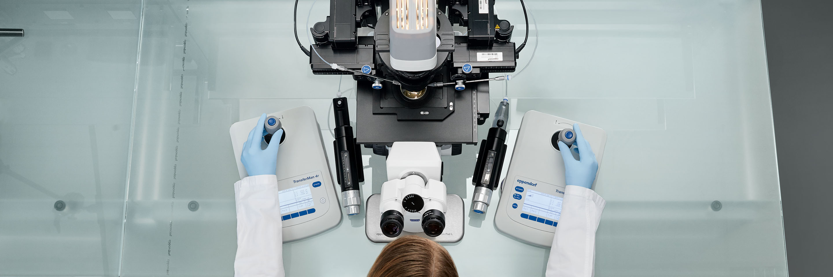 Micromanipulation products - Available from Calibre Scientific ...