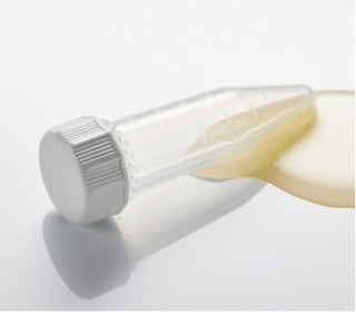 Tubes Family - Eppendorf