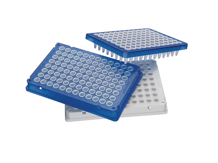 PCR films & foils - PCR Plate Seals