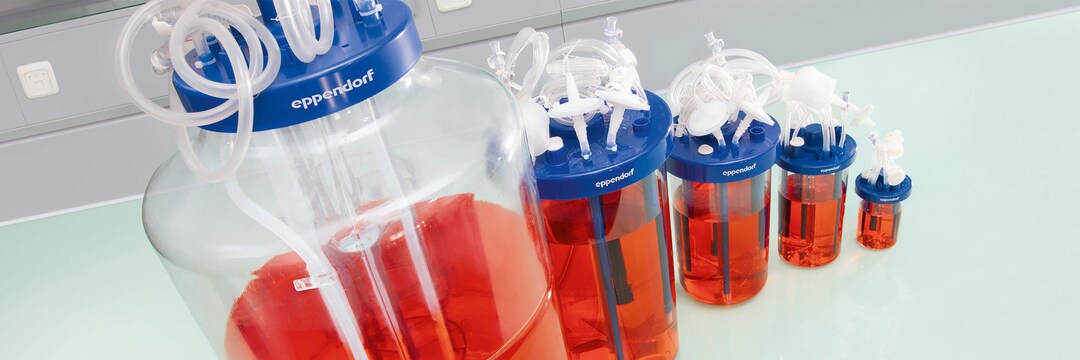 Single-Use Bioreactors