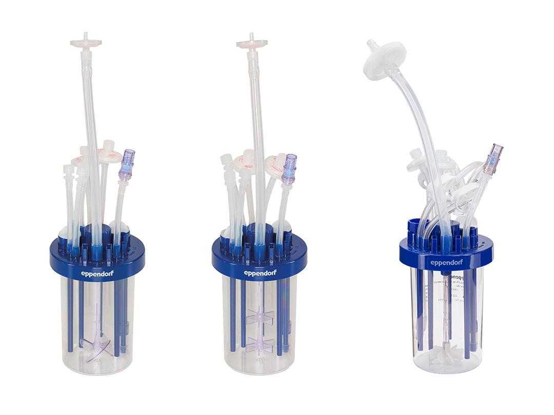 DASbox® Mini Bioreactor System